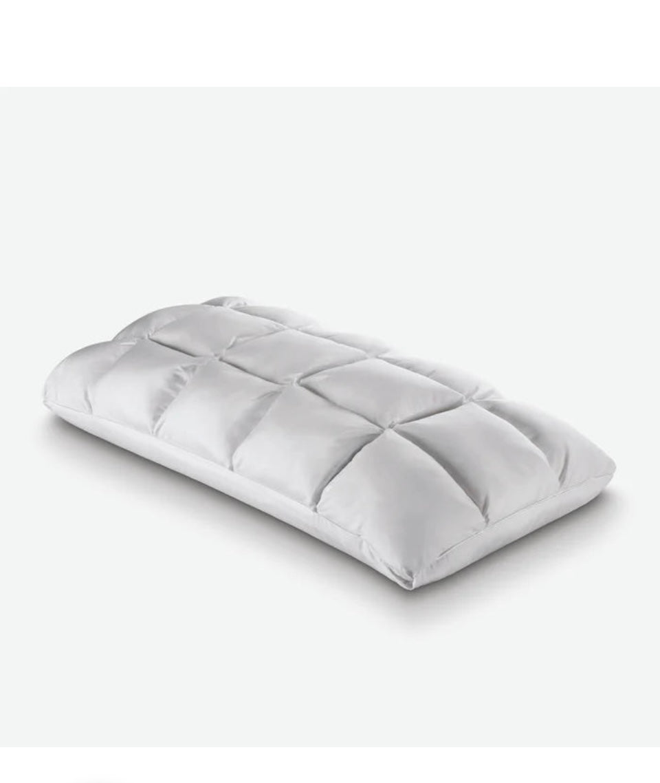 Premium Hybrid Pillow+ – stockmattress
